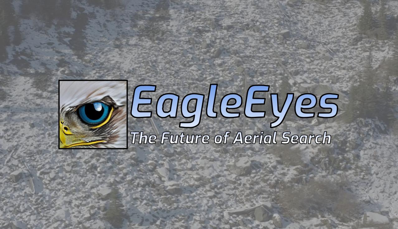 Eagle Eyes